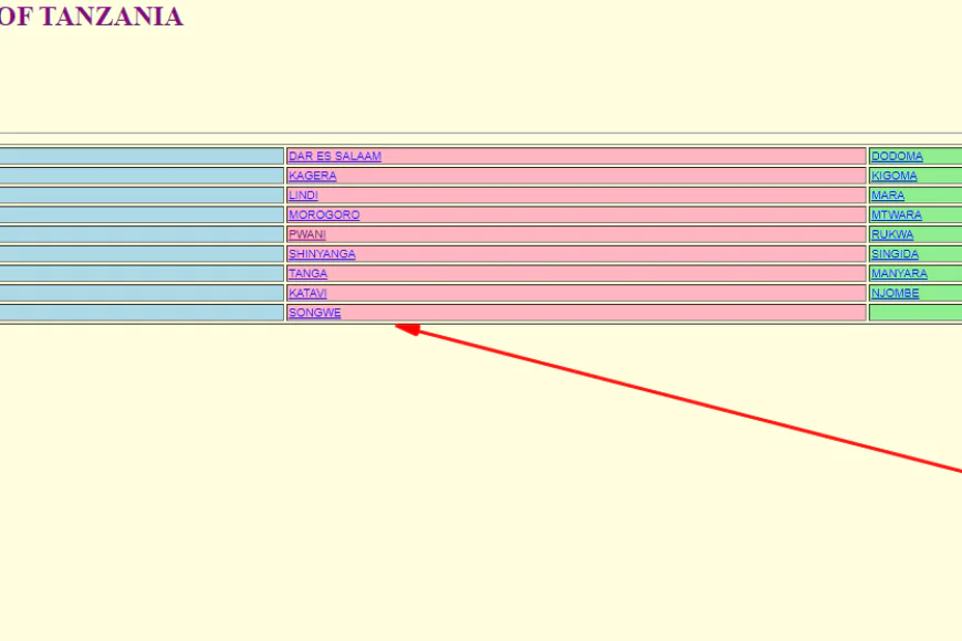 Matokeo Darasa la Saba 2025: NECTA PSLE Results Released - MoPawa