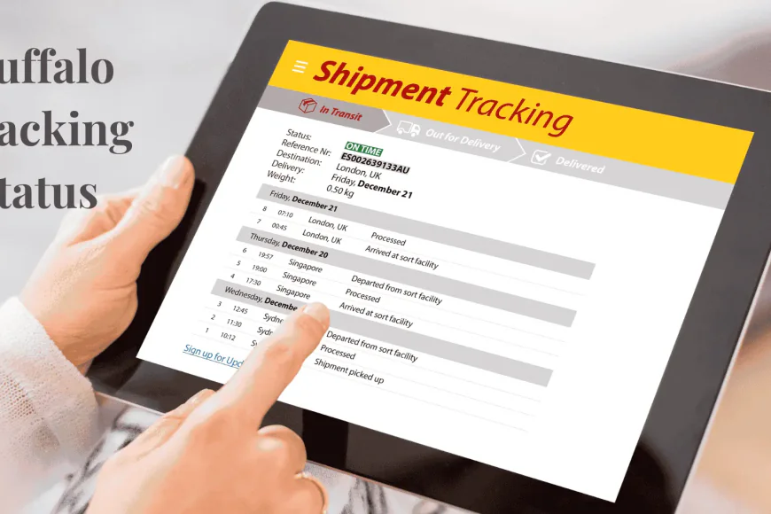 Buffalo Tracking in South Africa – How It Works - MoPawa